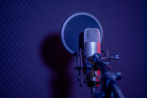 10 Rekomendasi Mic Condenser Terbaik | mybest