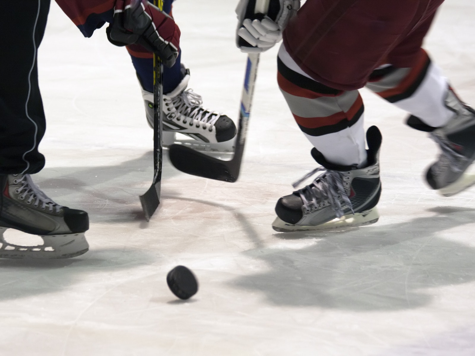 6 Rekomendasi Sepatu Ice Skating Terbaik | mybest