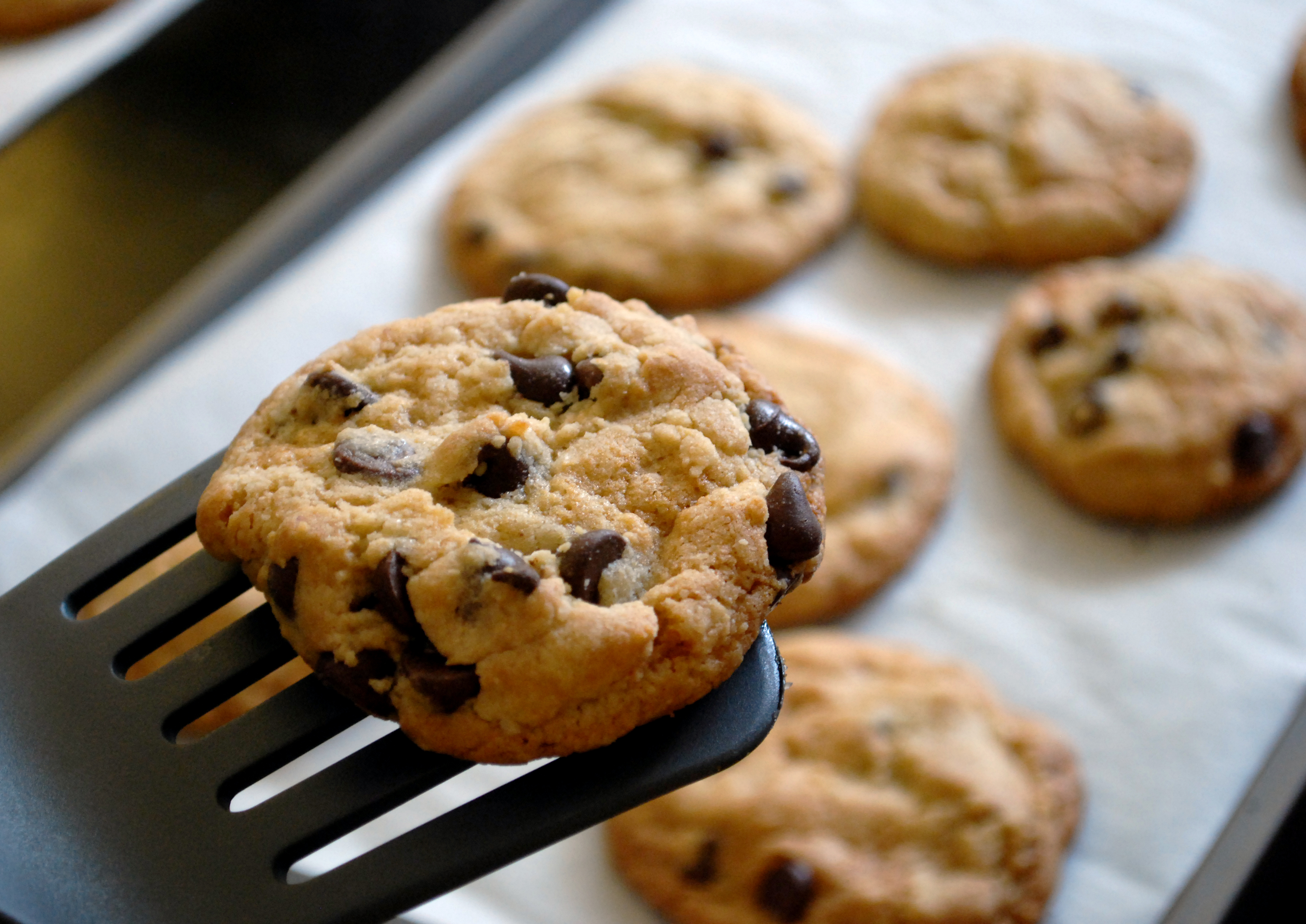 10 Rekomendasi Cookies Terbaik | mybest
