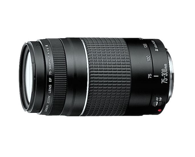 10 Rekomendasi Lensa Tele Terbaik | mybest