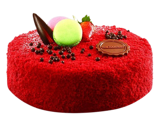 10 Rekomendasi Kue Bolu Terbaik | mybest