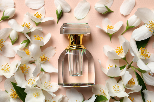 10 Rekomendasi Parfum Aroma Melati (Jasmine) untuk Wanita dan Pria ...