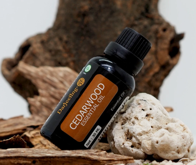 10 Rekomendasi Essential Oil Terbaik [Ada Produk Lokal] | mybest